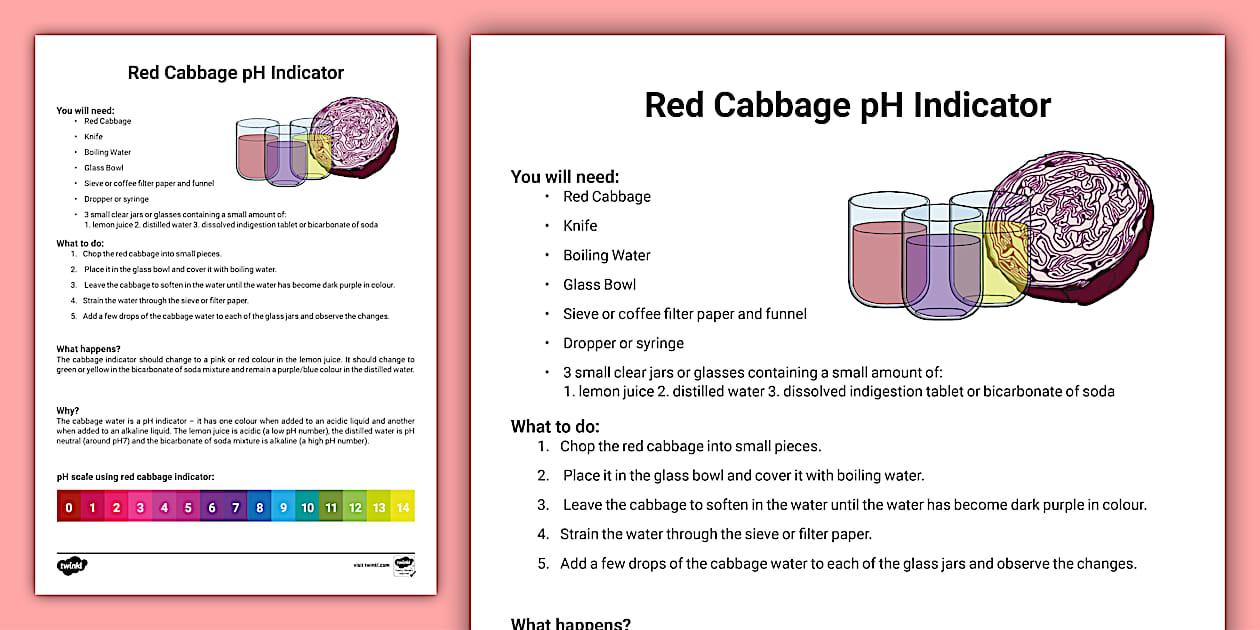 Red Cabbage Indicator - Science Investigation Guidance Sheet