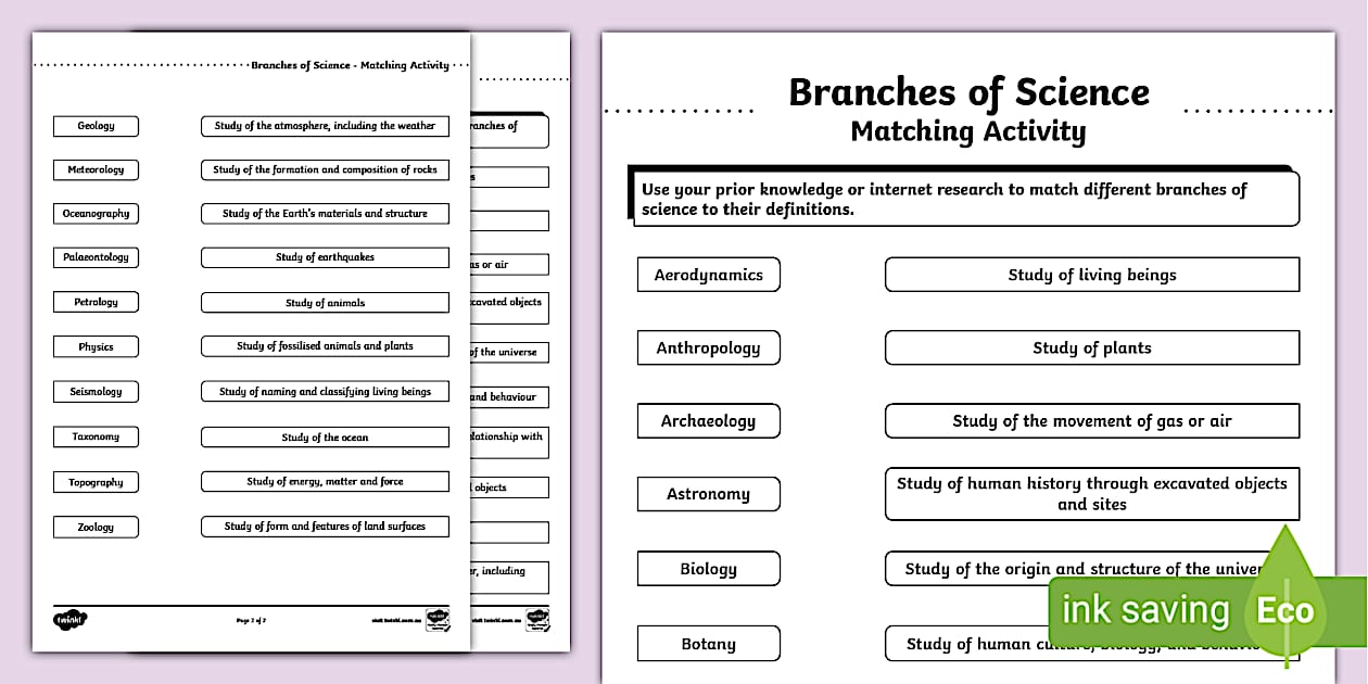 Branches of Science Activity Worksheets | Twinkl - Twinkl