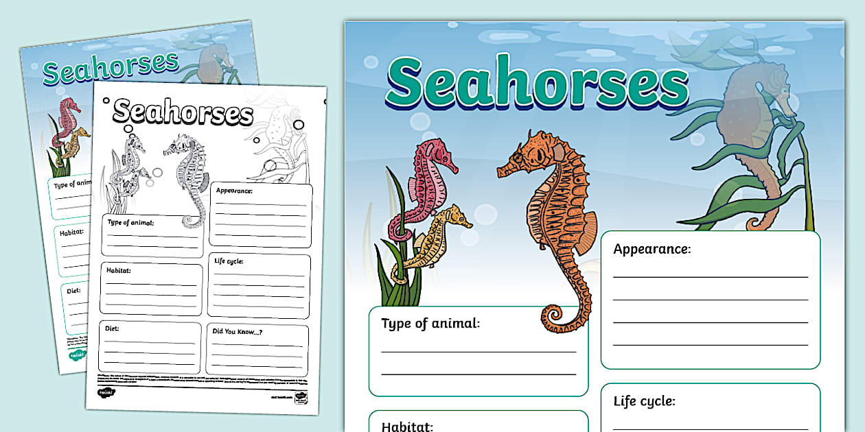 Seahorses Fact File (teacher made) - Twinkl