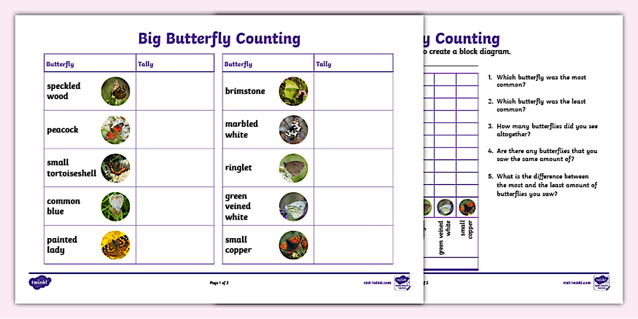 👉 Big Butterfly Count Worksheets (teacher made) - Twinkl