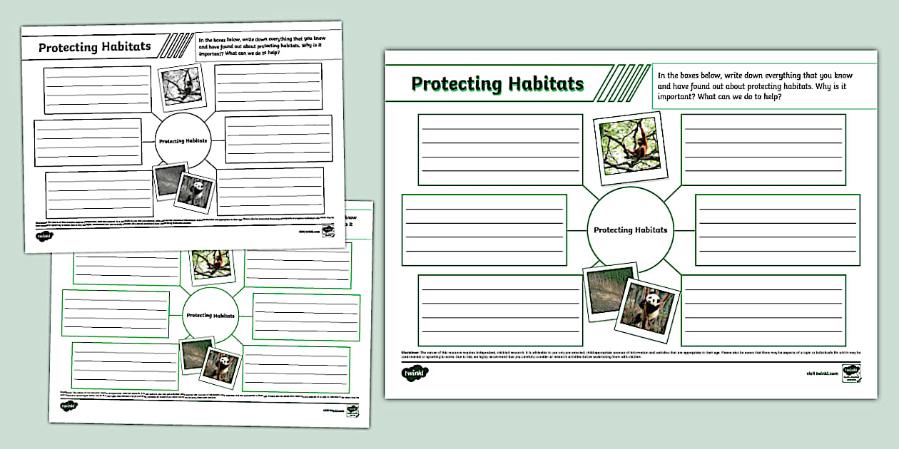 Protecting Habitats Mind Map (creat de profesori) - Twinkl