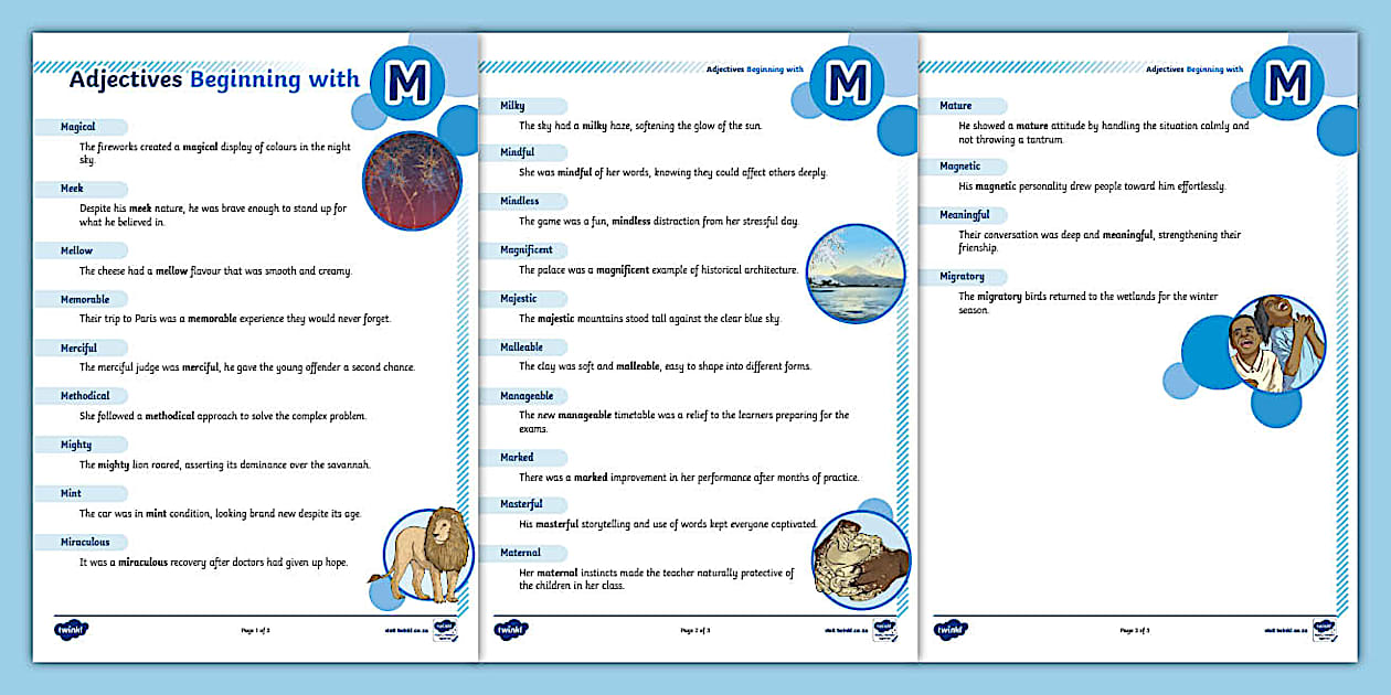 Adjectives Beginning with M Guide (teacher made) - Twinkl