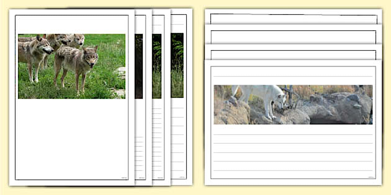 KS2 - Wolves - Writing Frame (teacher made) - Twinkl