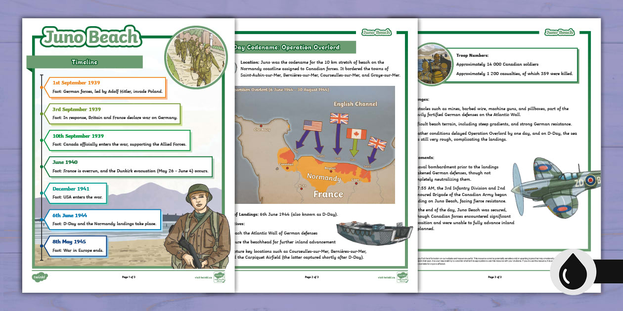 Juno Beach Fact File (teacher made) - Twinkl