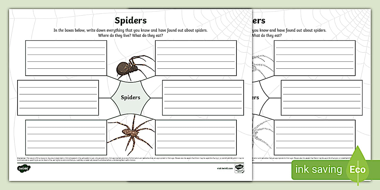 Spider Mind Map (ティーチャーメイド) - Twinkl
