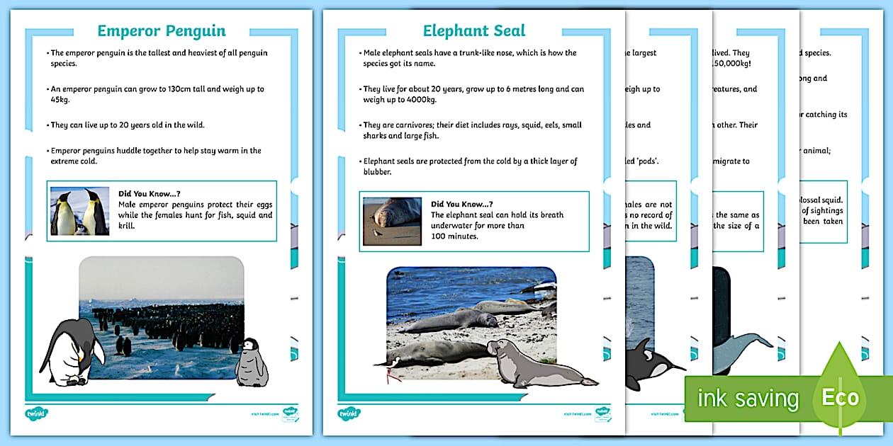 Editable Antarctic Animals Fact File Sheets (teacher made)