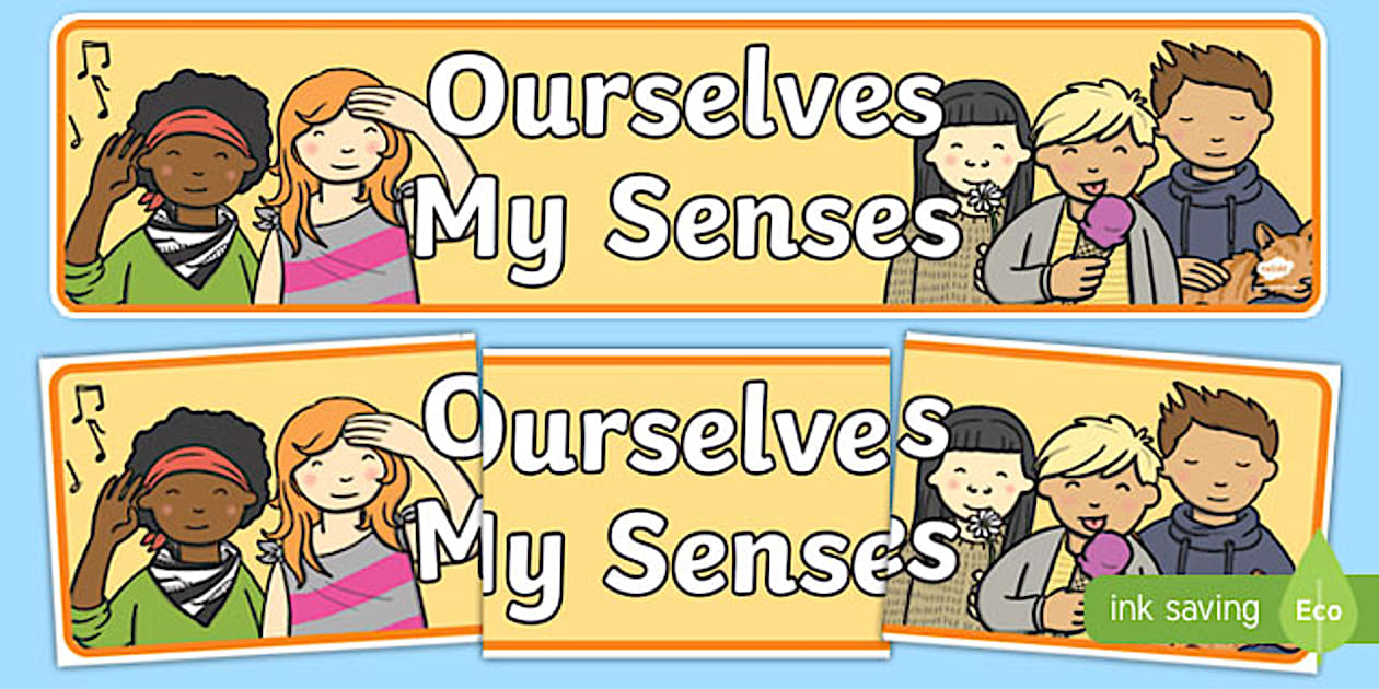 Ourselves: My Senses Display Banner (teacher made) - Twinkl