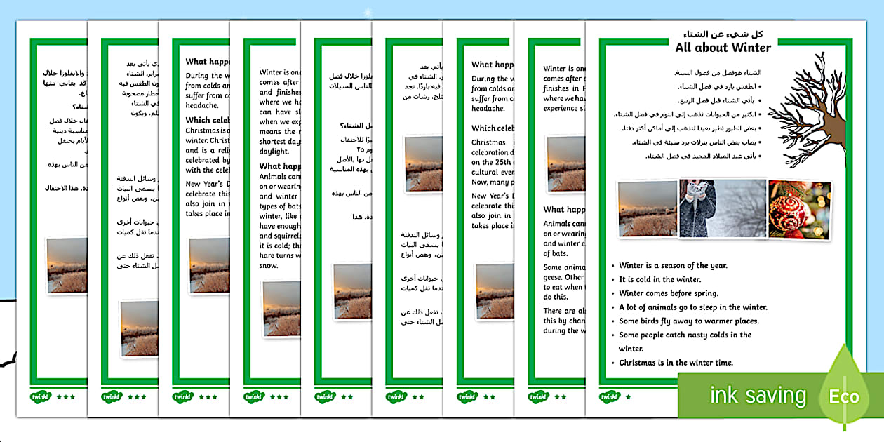 Winter Differentiated Reading Comprehension Activity Arabic/English ...