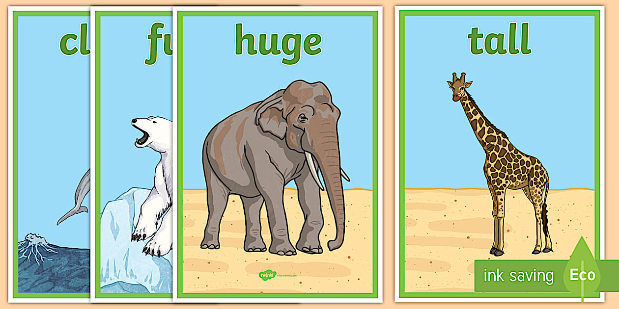 Zoo Animals Adjectives Display Posters - Twinkl