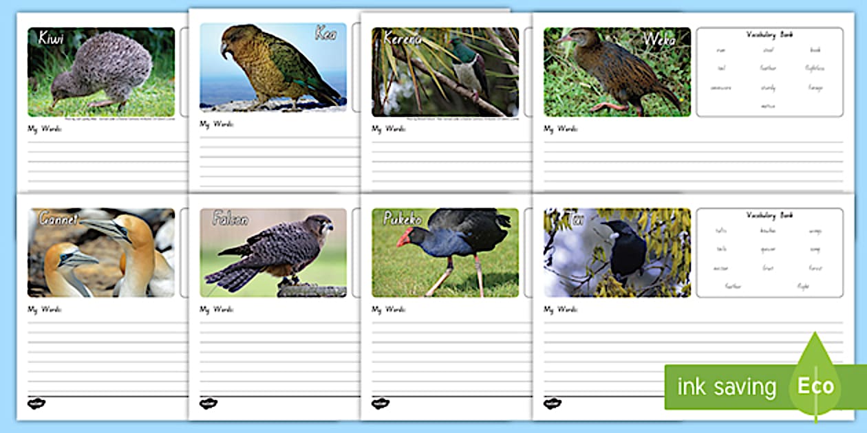 New Zealand Birds Writing Prompts Photo Pack - Twinkl