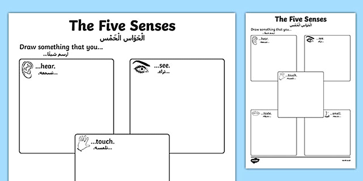 The Five Senses Drawing Worksheet / Worksheet (Teacher-Made)