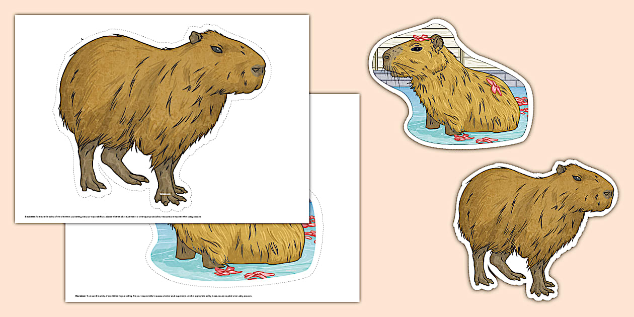 Capybara Display Cut-Out (Teacher-Made) - Twinkl