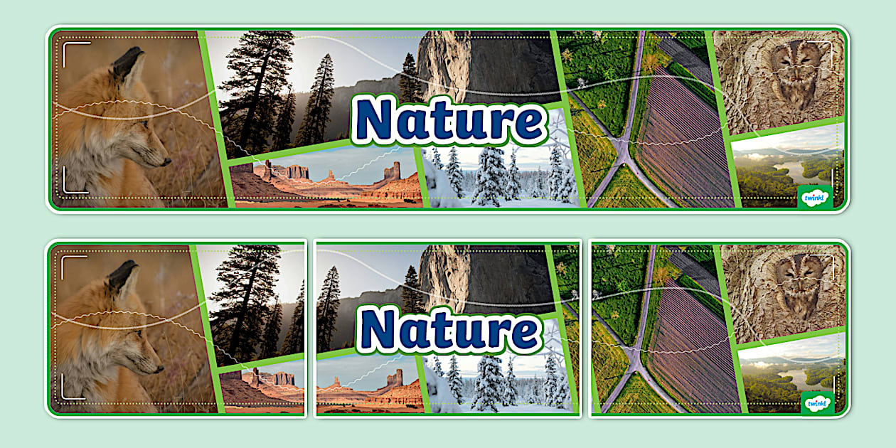 Nature Photo Display Banner (Teacher-Made) - Twinkl
