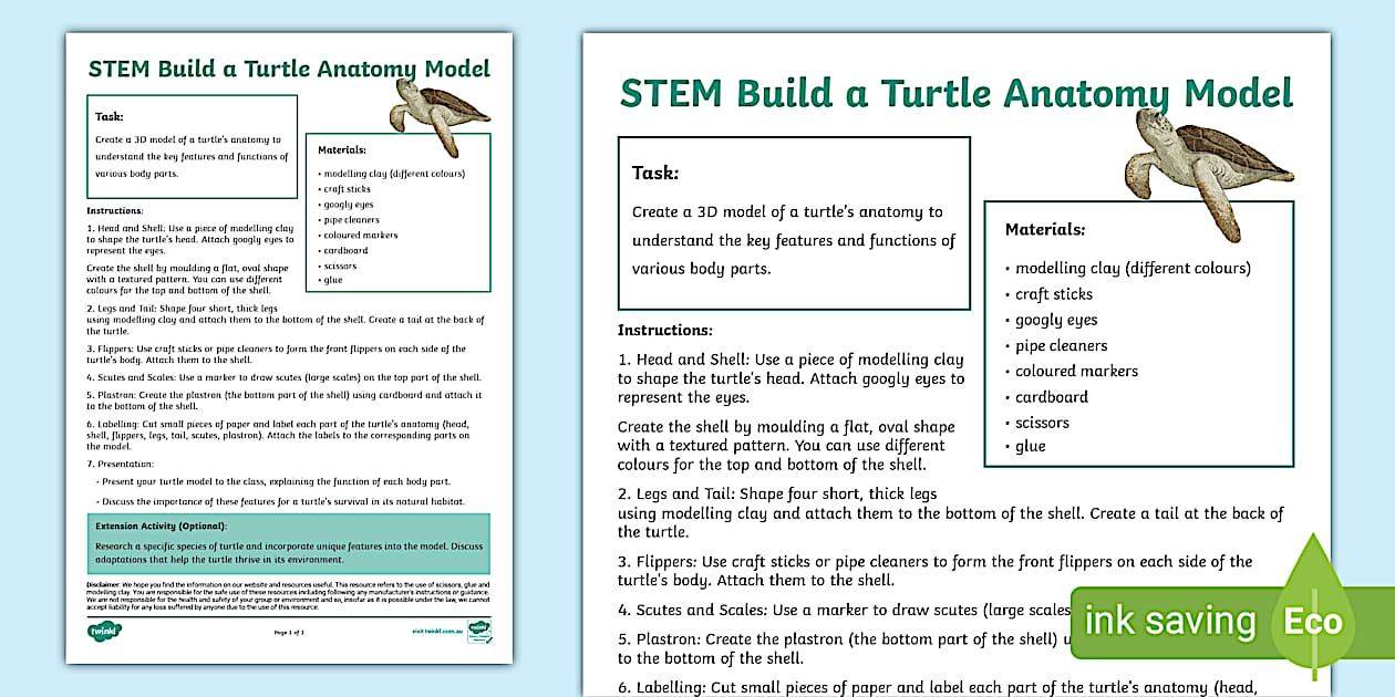 World Turtle Day: STEM Build a Turtle Model (teacher made)