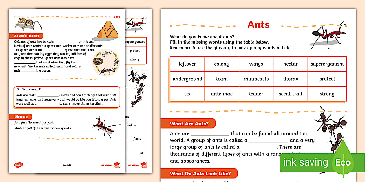 Ants Cloze Activity Worksheet (teacher made) - Twinkl