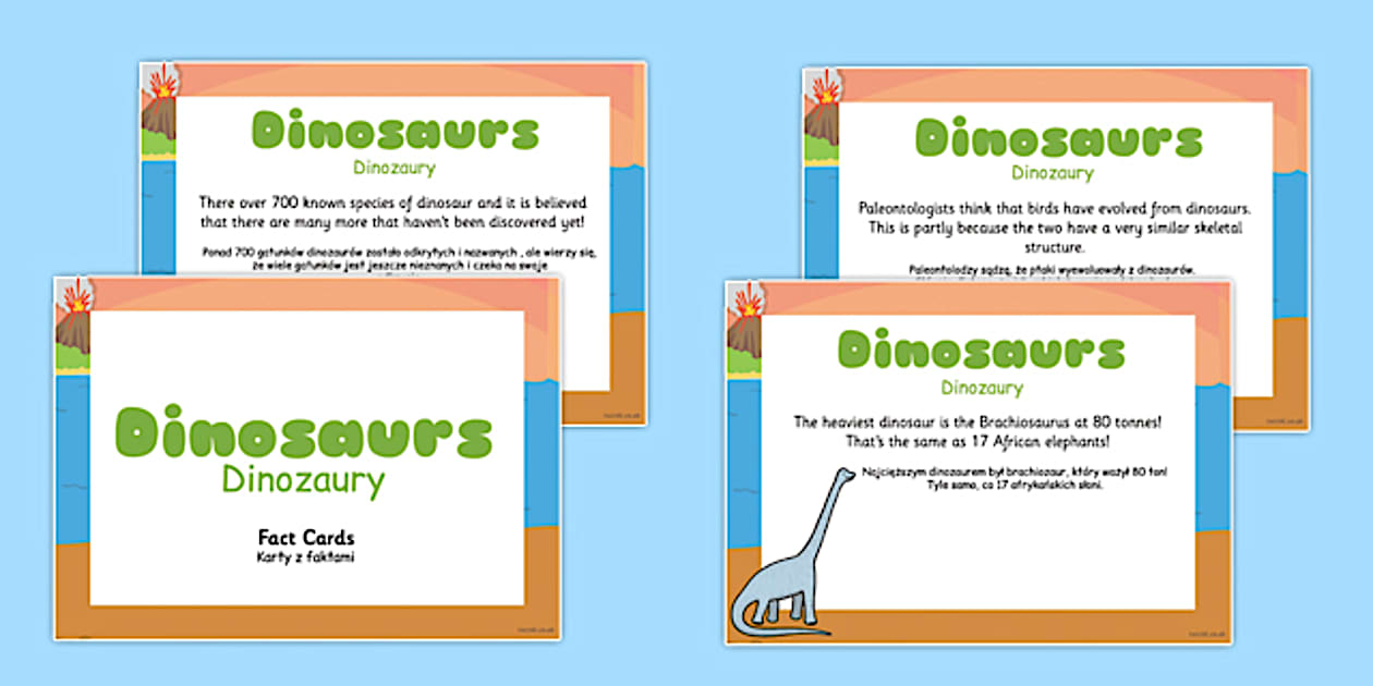 Dinosaur Display Fact Cards Polish Translation - Twinkl