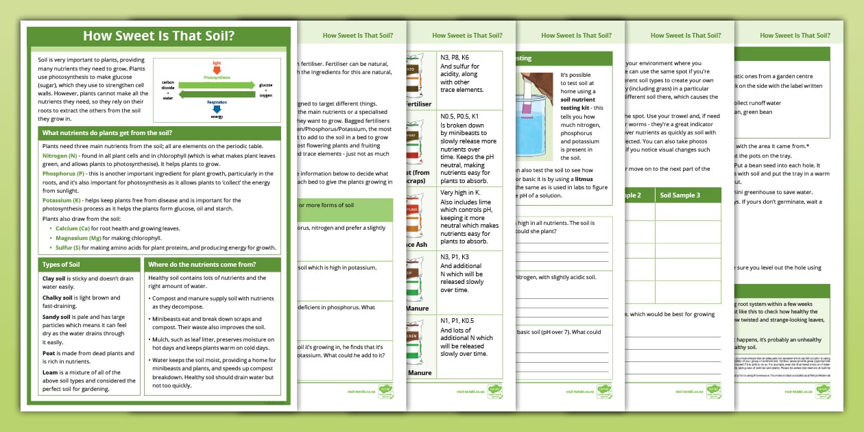 Year 5-8 Life Processes - Soil Suite