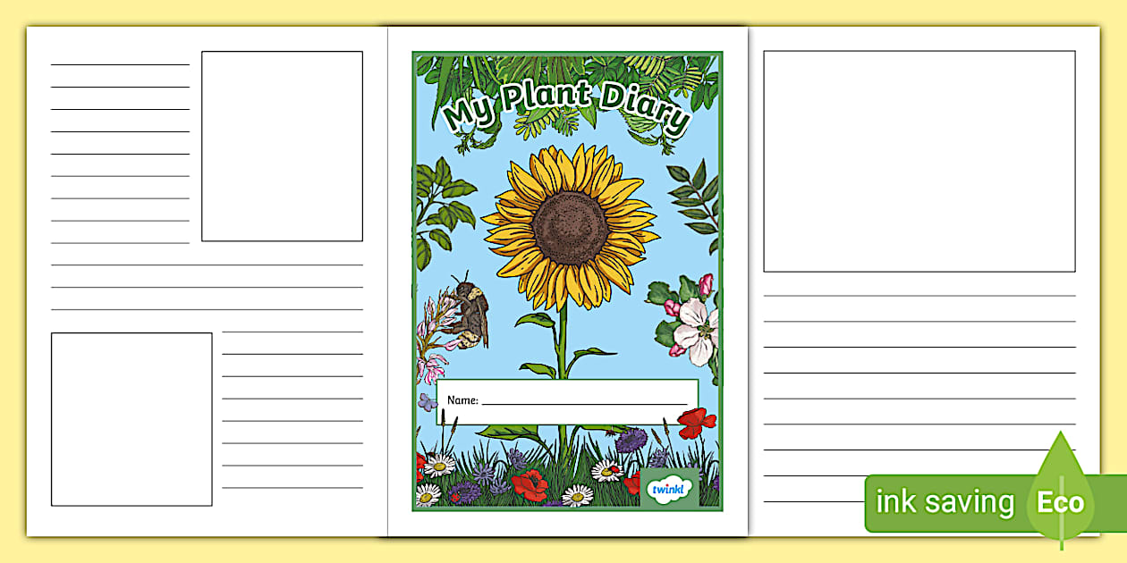 Plant Diary Writing Frame (Teacher-Made) - Twinkl