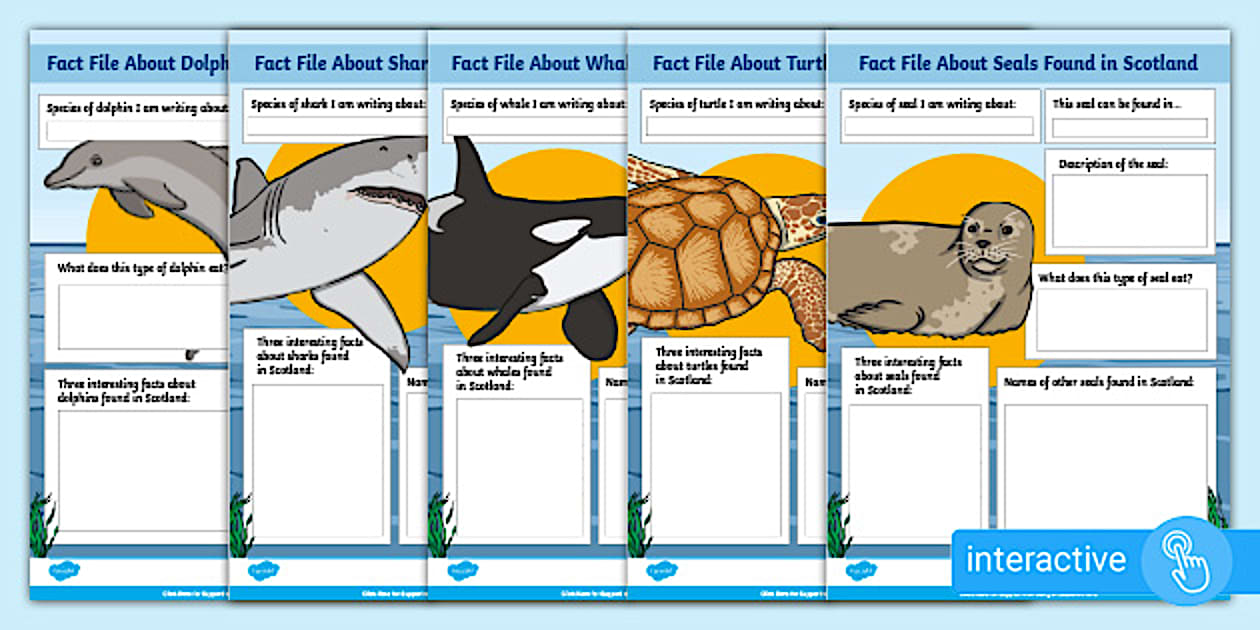 Sea Life in Scotland Interactive Research Activity | CfE