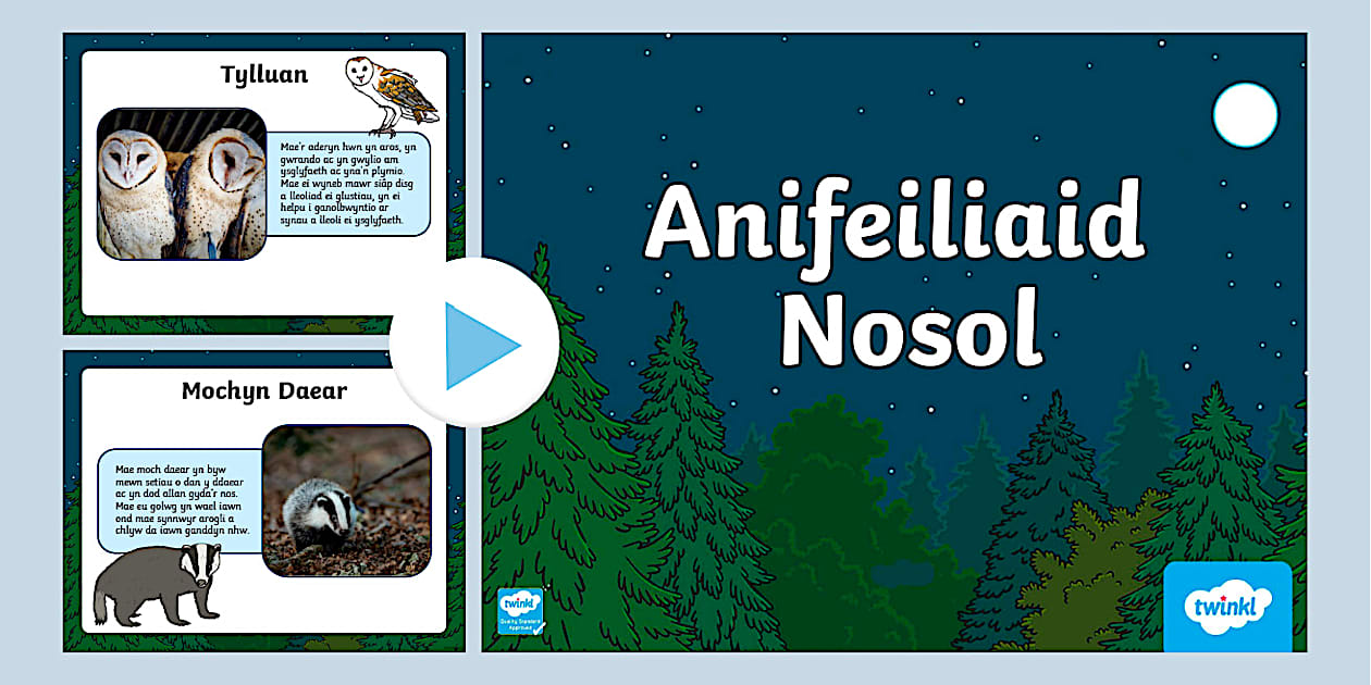 Cyflwyniad i Anifeiliaid Nosol (teacher made) - Twinkl