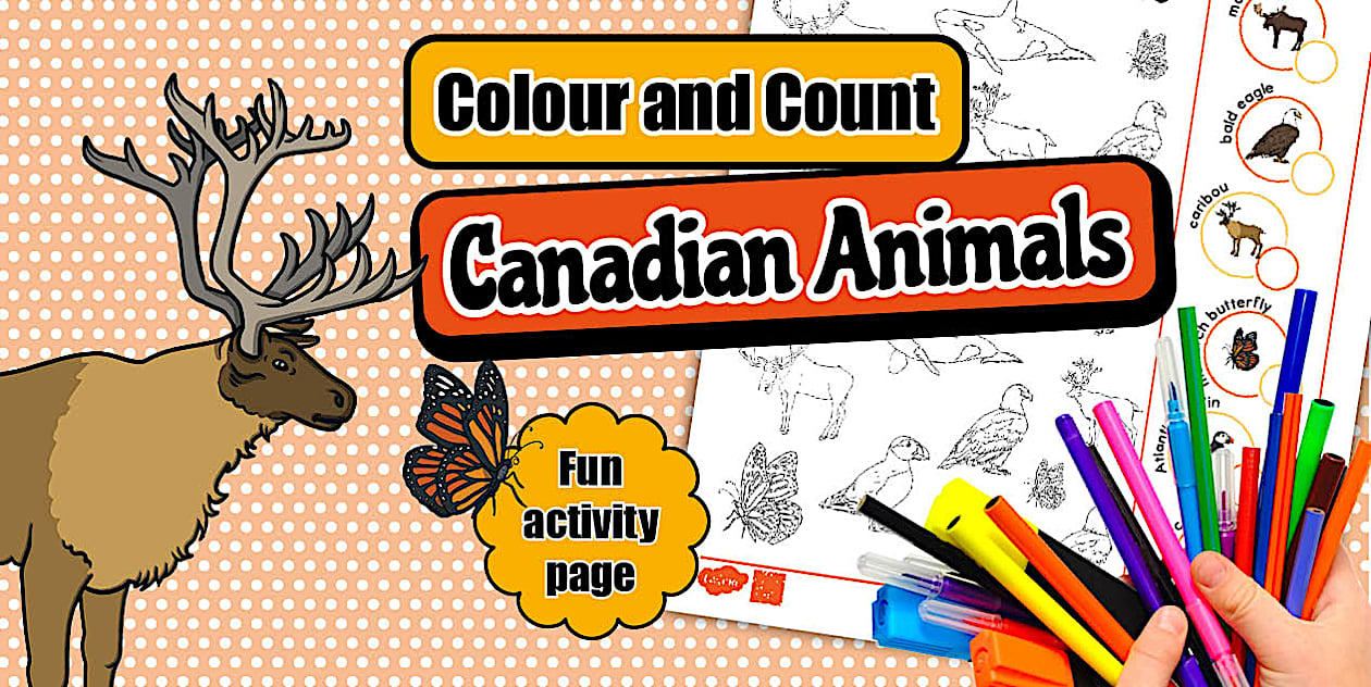 Canadian Animals Colour and Count Worksheet