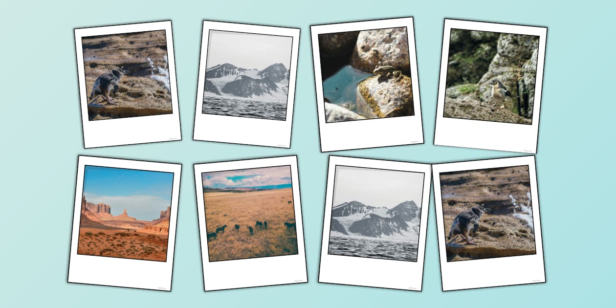 Global Habitats Instant Photo Style Display Images - Twinkl