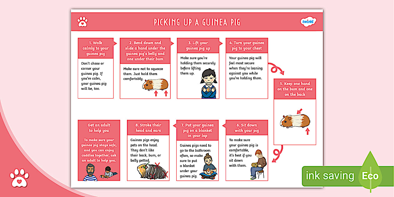 Picking up a Guinea Pig - Sequencing Poster - Twinkl Pets