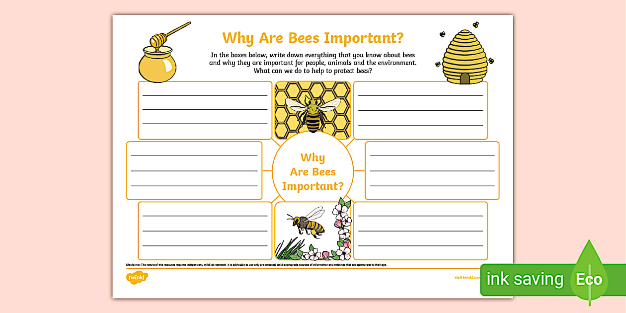 KS1 Why Are Bees Important? Mind Map (teacher made) - Twinkl