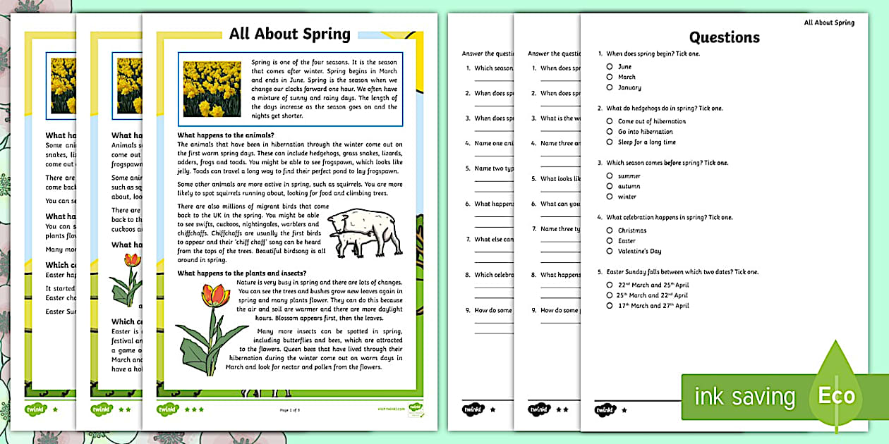 Spring Differentiated Reading Comprehension Activity English/French