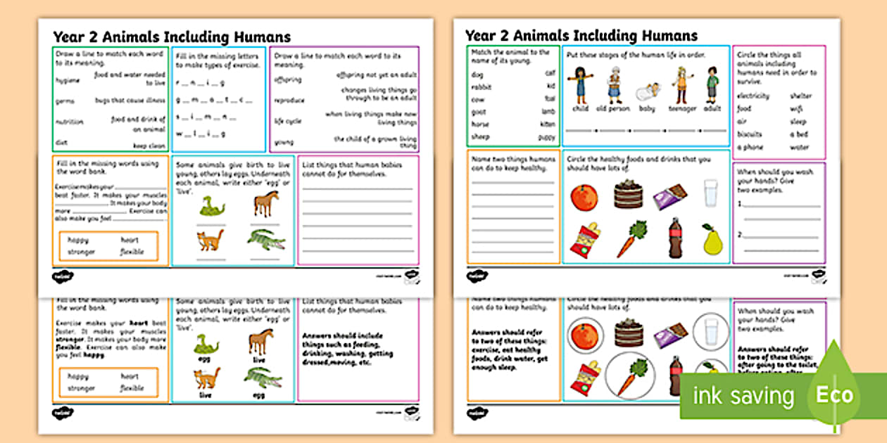 KS1 Year 2 Animals Including Humans Revision Activity Mat