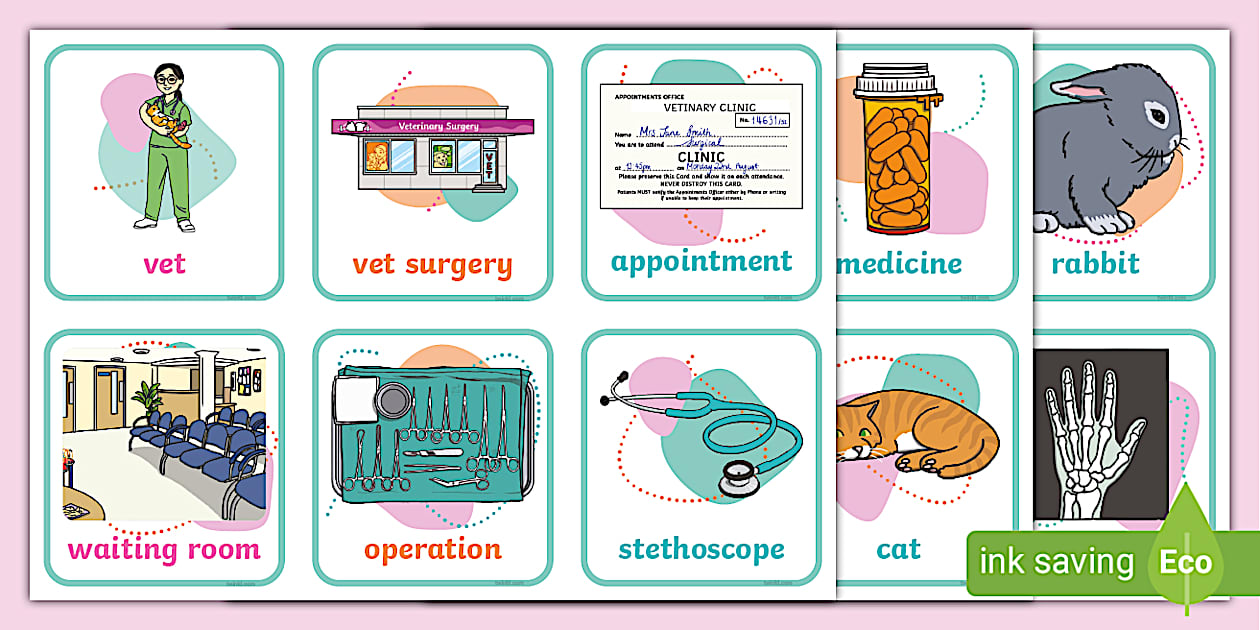 Vet Flashcards ELC (teacher made) - Twinkl