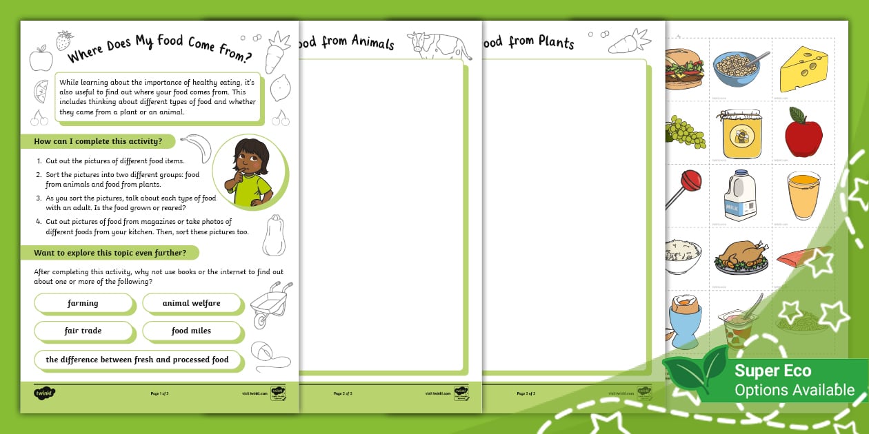 Where Does My Food Come From? Worksheet (teacher made)