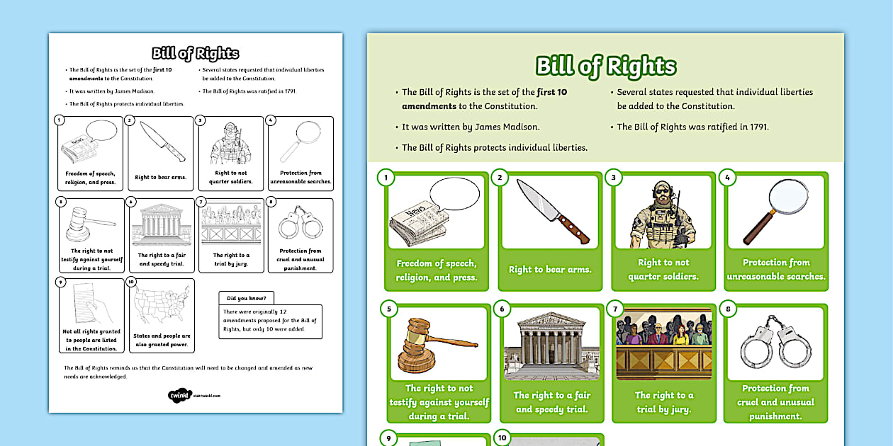 Editable Bill of Rights Fact Sheet for 3rd-5th Grade