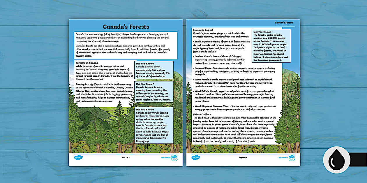 Canada's Natural Resources: Forests Fact File (teacher made)