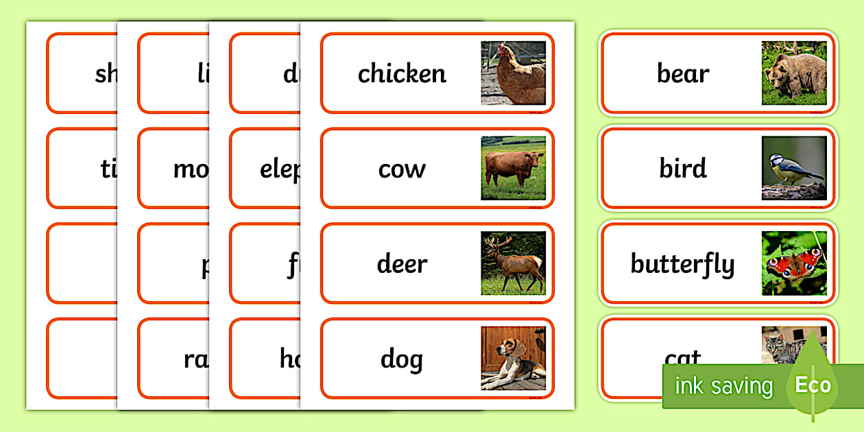 Animals Photo Word Cards (teacher made) - Twinkl