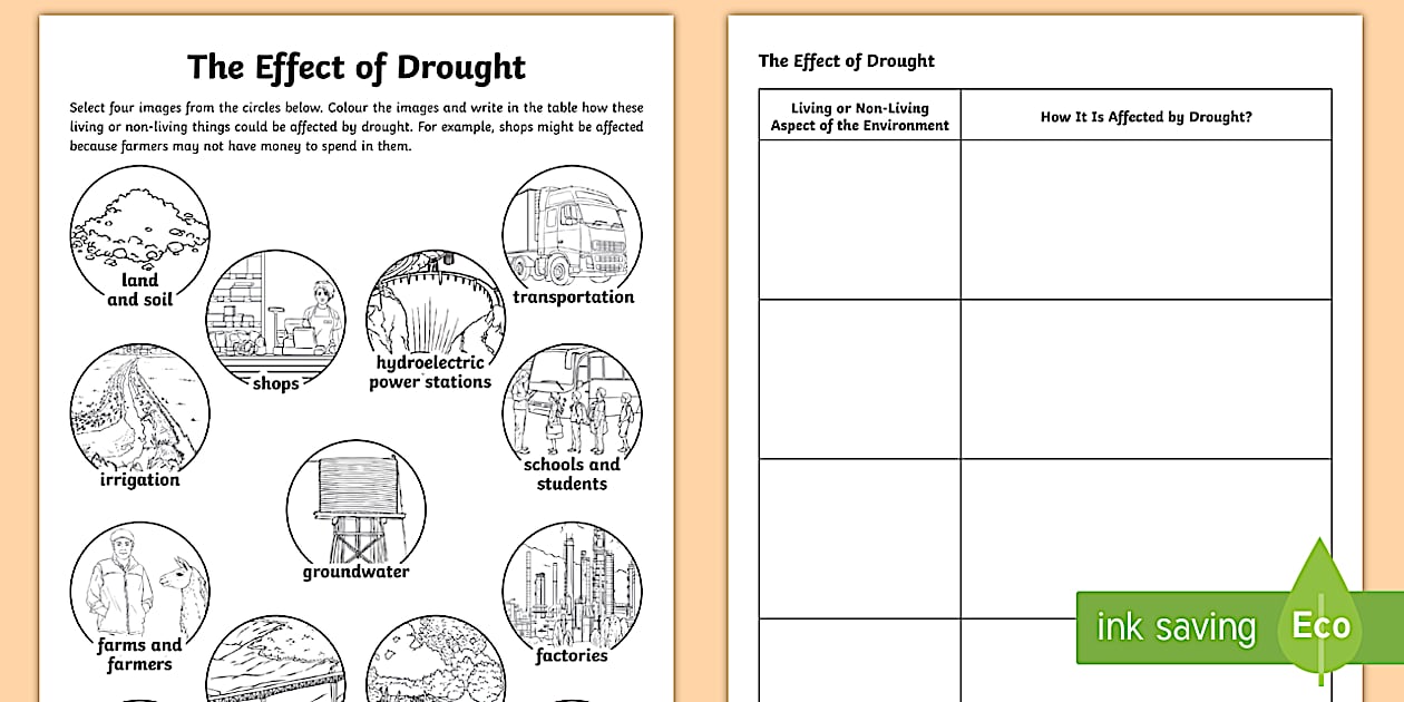 Drought Worksheet (teacher made) - Twinkl