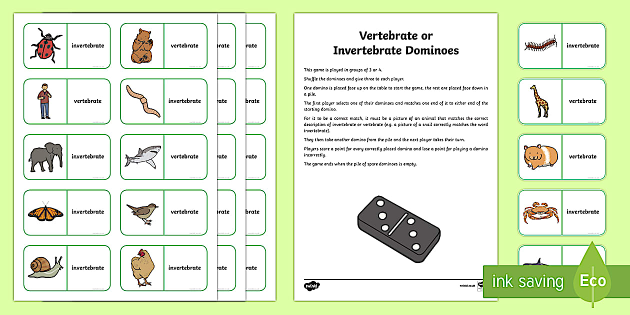 Editable Invertebrate or Vertebrate Dominoes - Twinkl