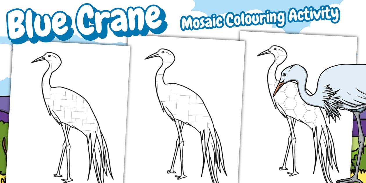 Foundation Phase - Blue Crane - Mosaic Colouring Sheets