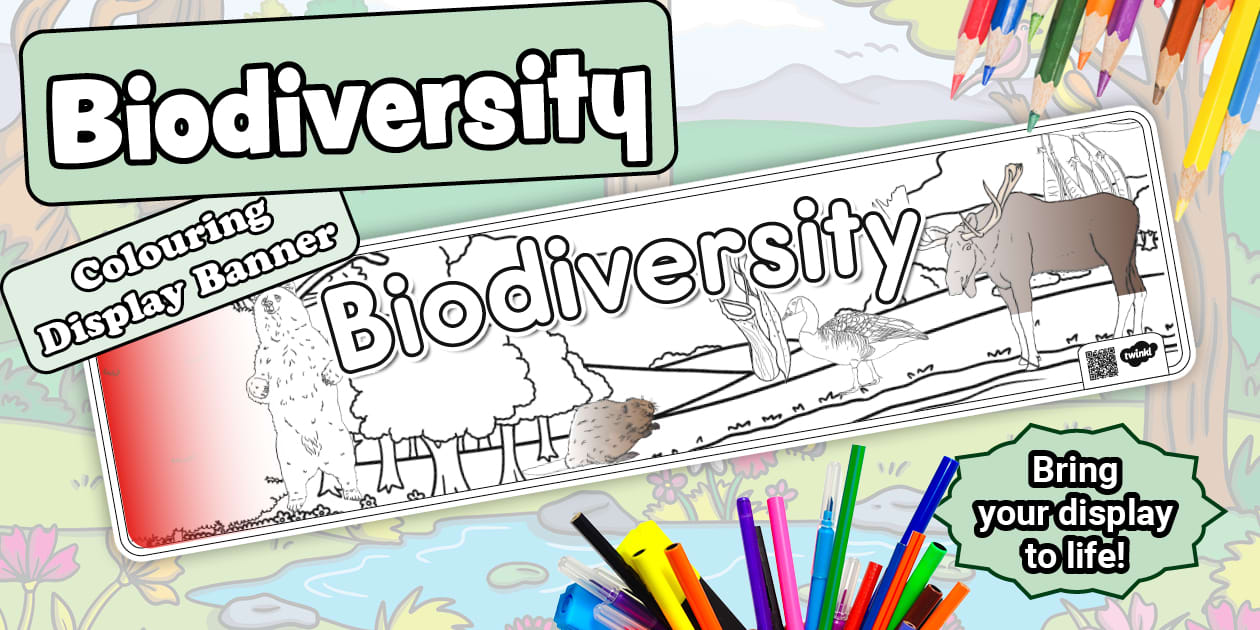 Biodiversity Colouring Display Banner