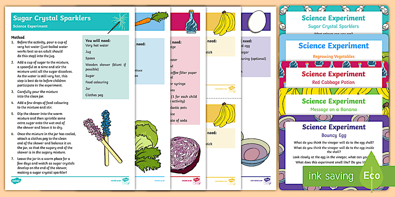 Fun Food Science Experiments For Kids | Food Science