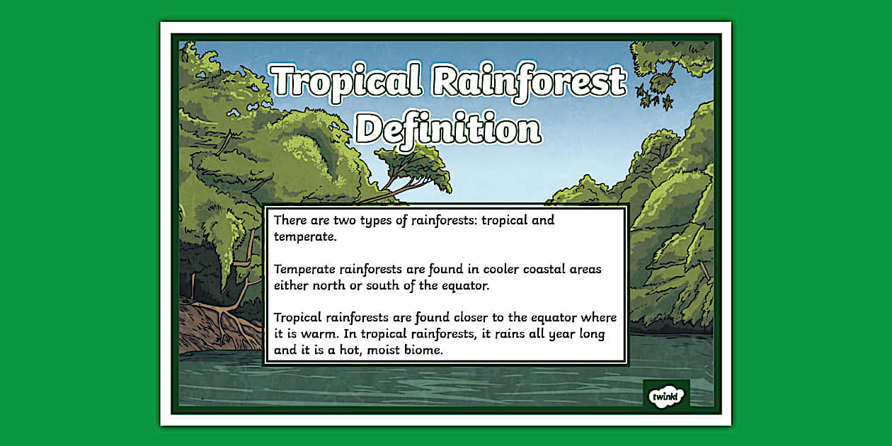 Tropical Rainforest Definition Display Poster