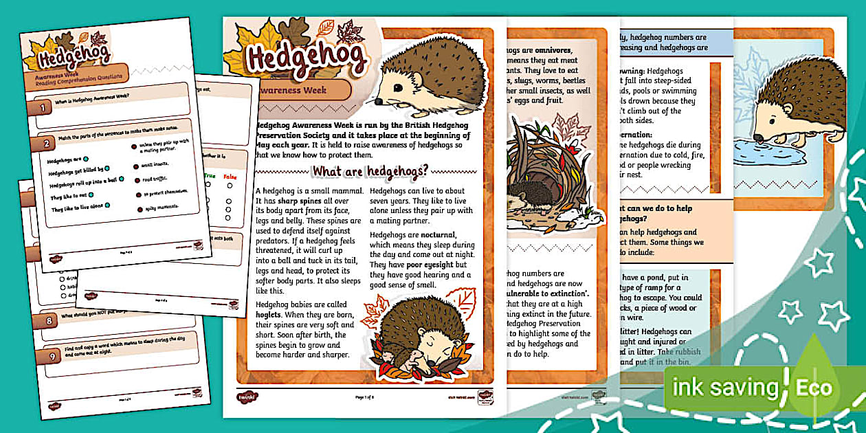 Hedgehog Awareness Reading Comprehension (Ages 5 - 7)