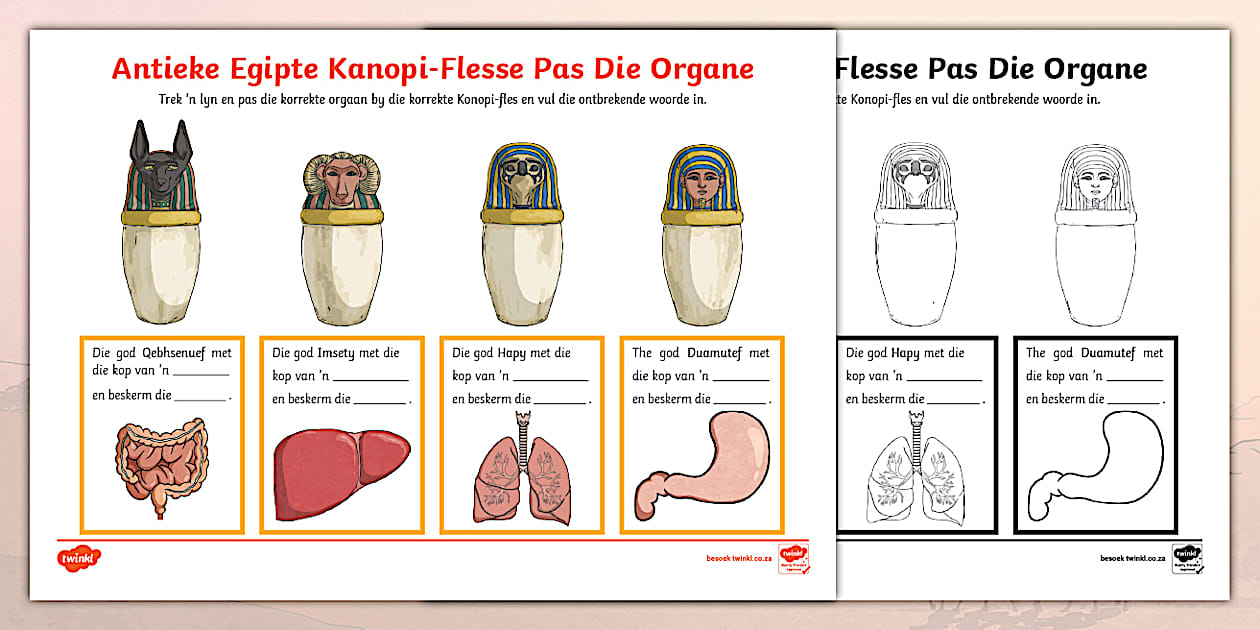 Antieke Egiptiese Kanopi-Flesse
