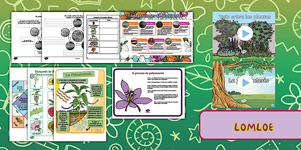 Pack LOMLOE: Las plantas (Conocimiento del Medio Natural, Social y ...
