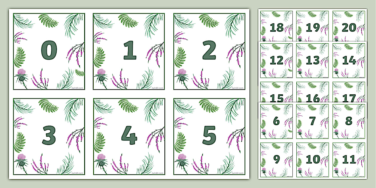 Scottish Botanical-Themed Square Number Cards (teacher made)