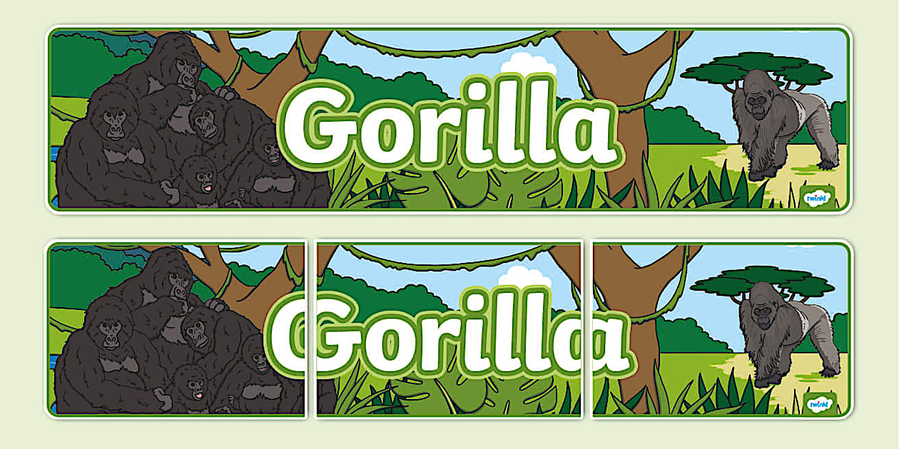👉 Gorilla Display Banner (teacher made) - Twinkl