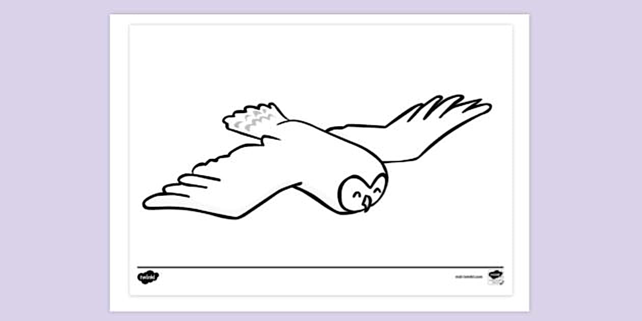Owl Swooping Down Colouring Sheet | Colouring Sheets
