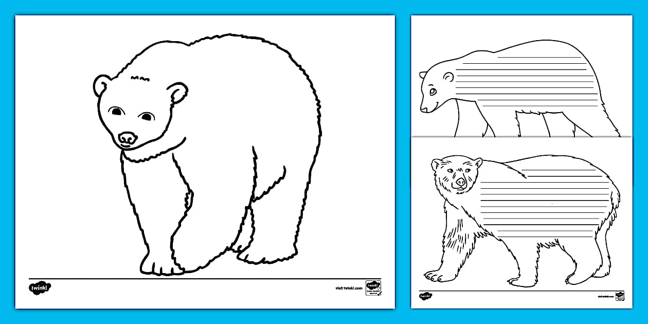 Polar Bear Templates (teacher made) - Twinkl