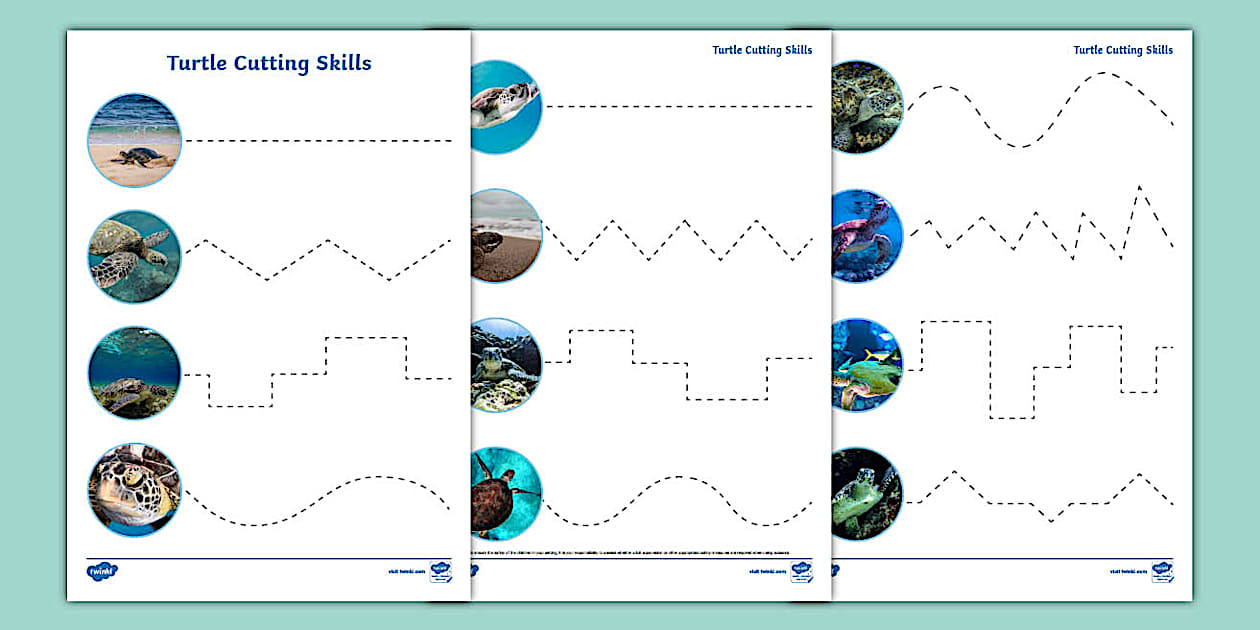 Turtle Cutting Skills Activity | Twinkl (teacher made)