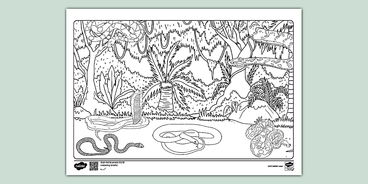 Printable Colouring Page of Snakes | Colouring Pages